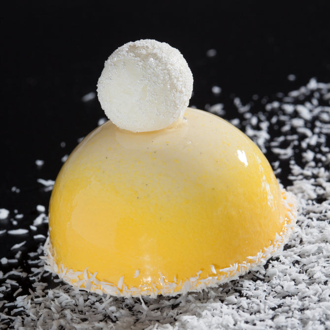 24-Form Flexipan Half Sphere Reg | Professional Molds – JB Prince